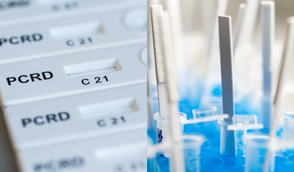 Nucleic Acid Lateral Flow Tests (50 tests) | Order Here